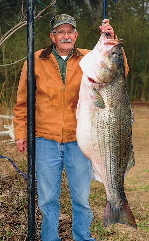 World-record bass caught near Gorgas - Alabama News Center