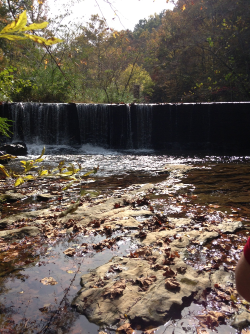 Dam destruction to create expanded habitat for rare Alabama fish ...