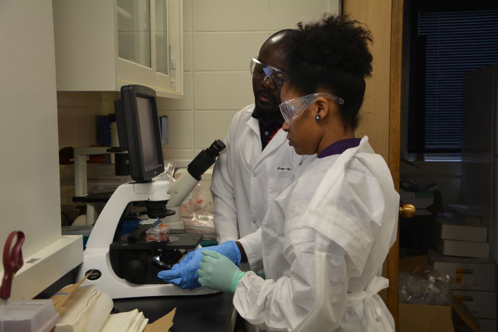 Birmingham area high school students perform life sciences and ...