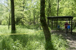 Cane Creek Canyon Nature Preserve a hidden gem in northwest Alabama ...