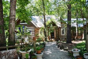 Chasing butterflies with Alabama artist Butch Anthony - Alabama News Center