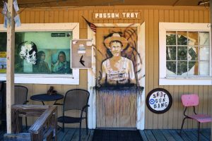 Chasing butterflies with Alabama artist Butch Anthony - Alabama News Center