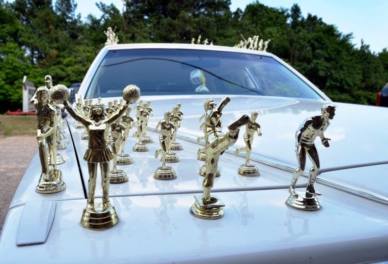 Chasing butterflies with Alabama artist Butch Anthony - Alabama News Center