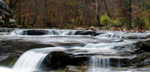 Turkey Creek Nature Preserve, credit TrekBirmingham - Alabama News Center
