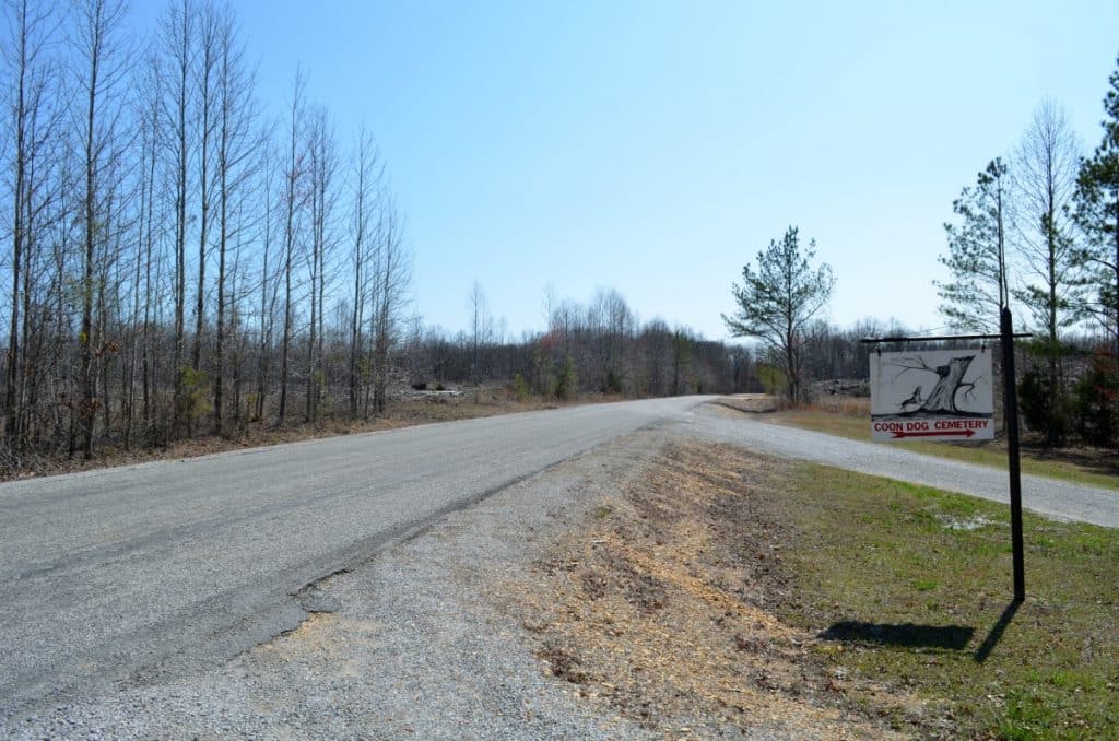 Alabama’s Coon Dog Cemetery celebrates 80 years this Labor Day weekend ...