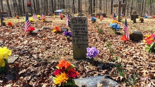 Alabama’s Coon Dog Cemetery celebrates 80 years this Labor Day weekend ...