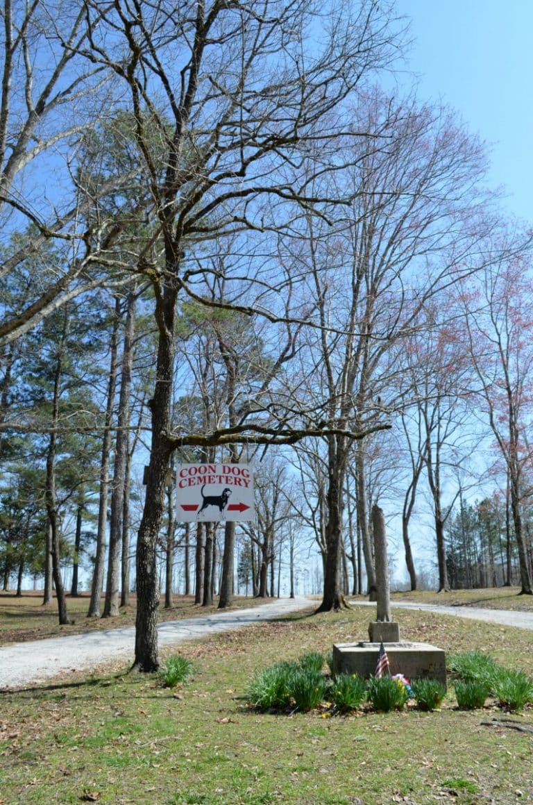 Alabama’s Coon Dog Cemetery celebrates 80 years this Labor Day weekend ...