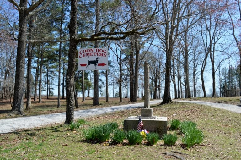 Alabama’s Coon Dog Cemetery celebrates 80 years this Labor Day weekend ...