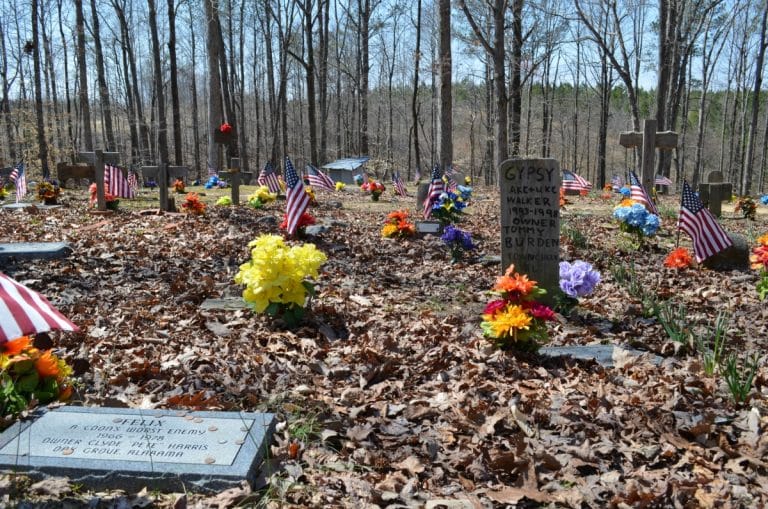 Alabama’s Coon Dog Cemetery celebrates 80 years this Labor Day weekend ...