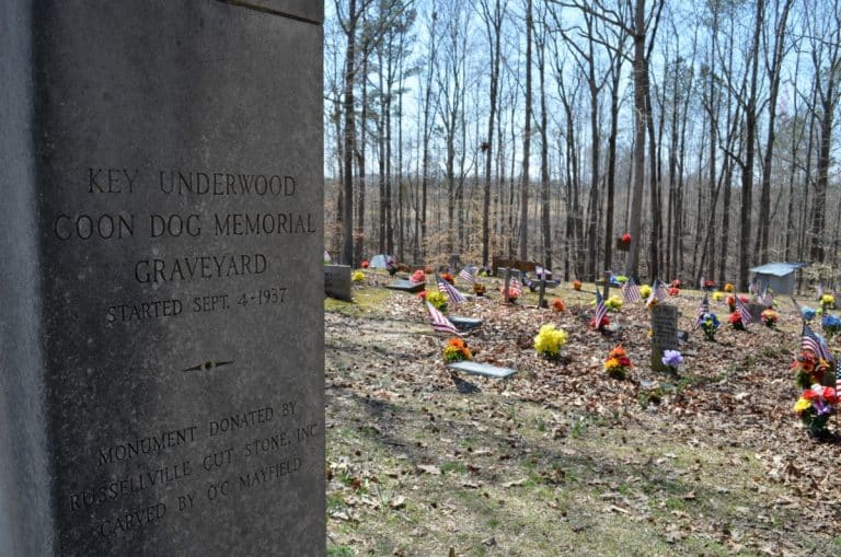Alabama’s Coon Dog Cemetery celebrates 80 years this Labor Day weekend ...