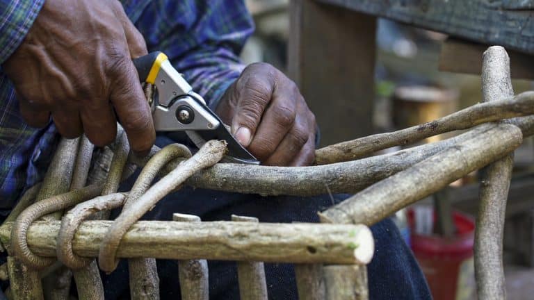 Andrew McCall is an Alabama Maker dancing with vines - Alabama News Center