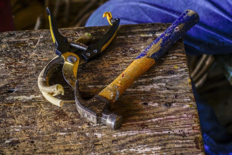 Andrew McCall is an Alabama Maker dancing with vines - Alabama News Center