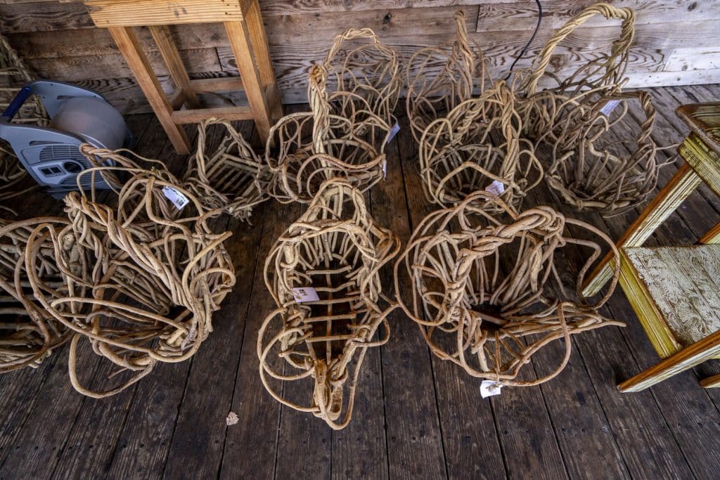 Andrew McCall is an Alabama Maker dancing with vines - Alabama News Center