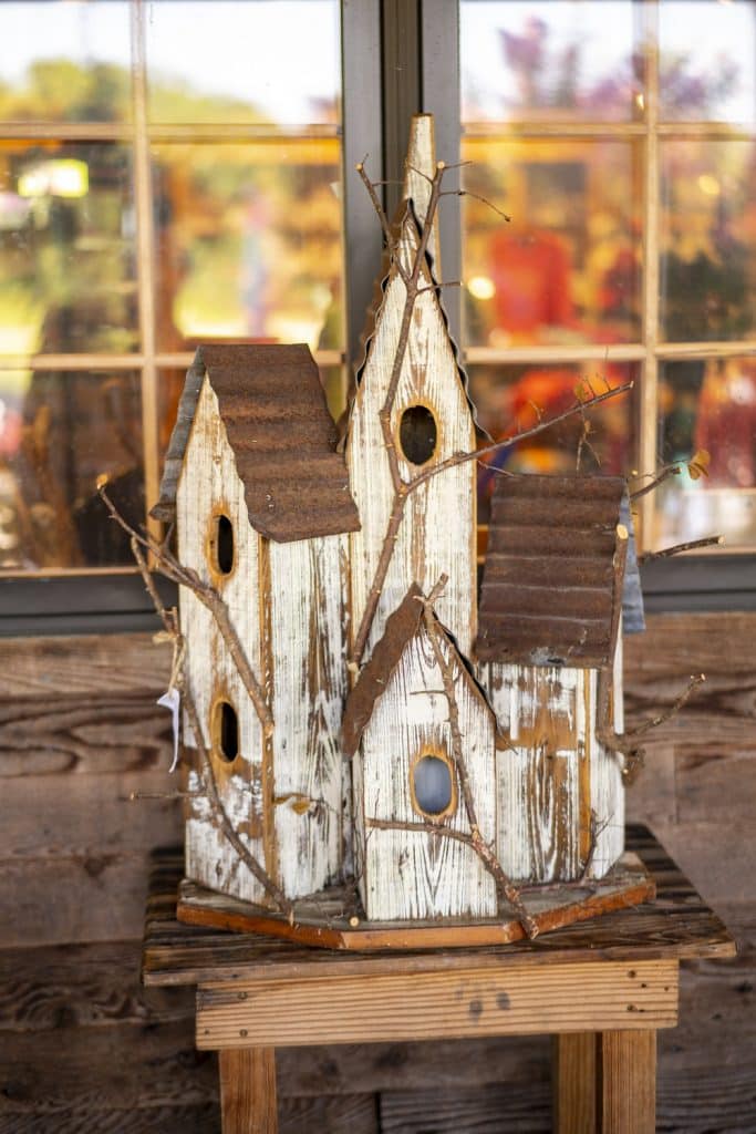 Andrew McCall is an Alabama Maker dancing with vines - Alabama News Center