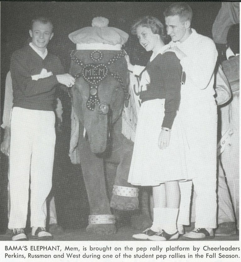 Why is Alabama Crimson Tide’s mascot an elephant? - Alabama News Center