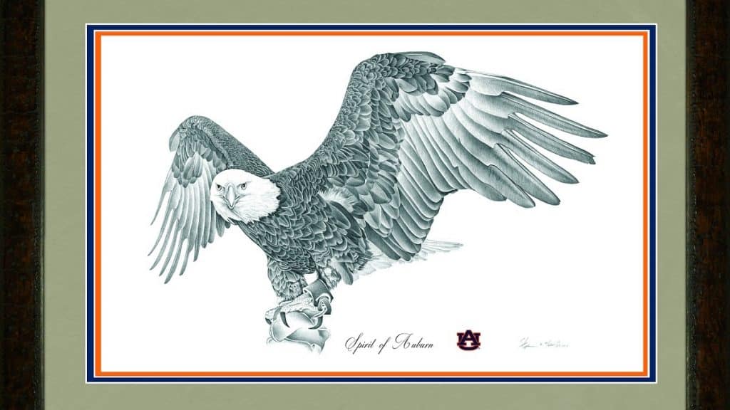 Auburn alumnus Stephen Malkoff supports Raptor Center with latest work ...