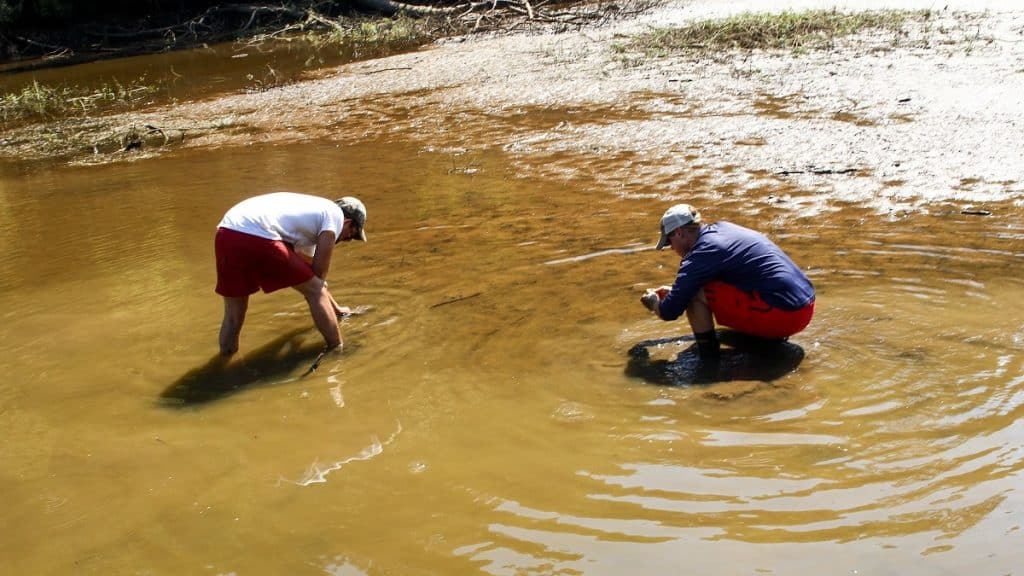 Alabama Power works to save threatened snails on Coosa River - Alabama ...
