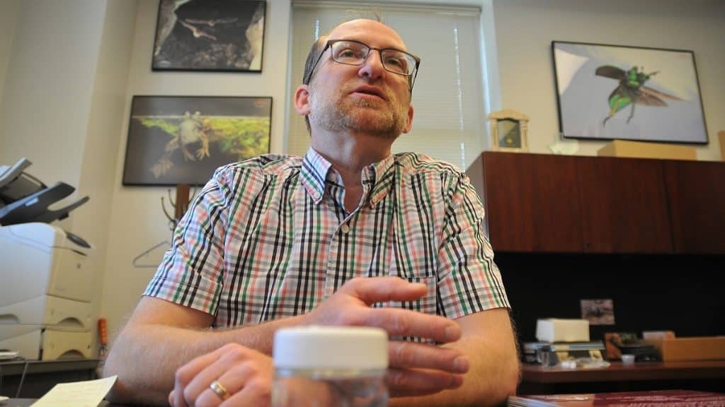 Watch out for these summer bugs, Alabama - Alabama News Center