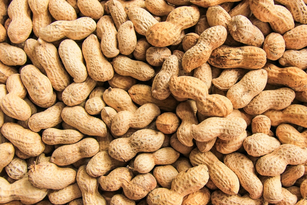 Coastal Growers plans $87 million peanut-shelling plant in Atmore ...