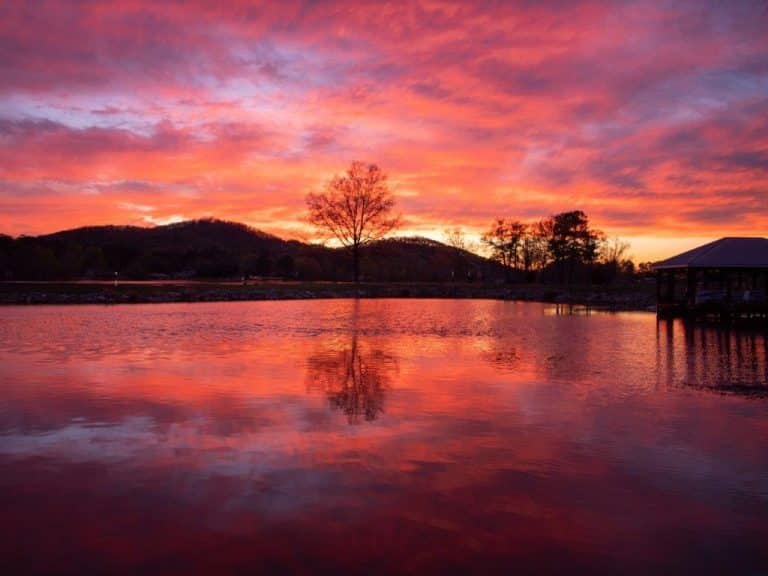Spring photo gallery: Alabama in bloom this Easter weekend - Alabama ...