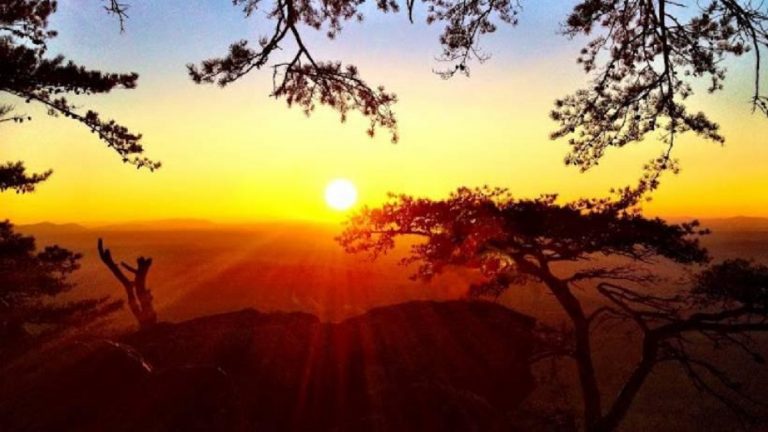 Visit Cheaha Mountain, the highest point in Alabama - Alabama News Center