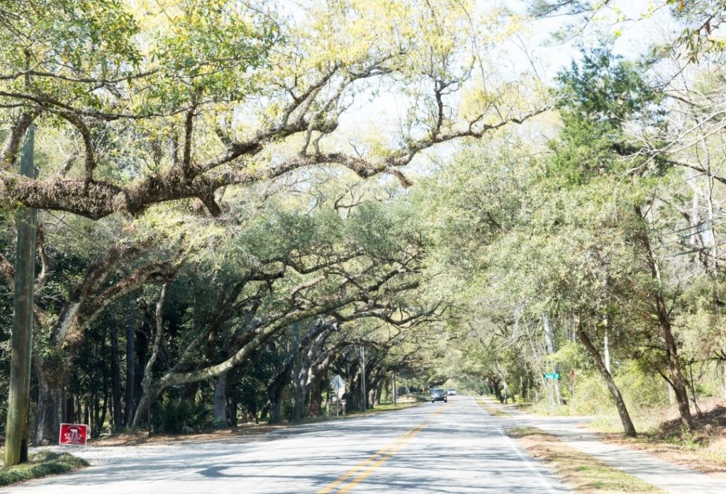 Three amazing scenic drives to take in Alabama - Alabama News Center