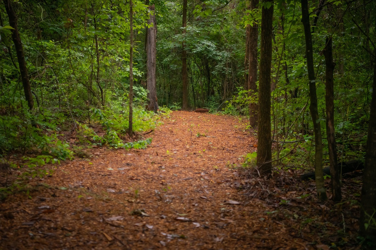 Auburn University College of Forestry, Wildlife and Environment adding ...