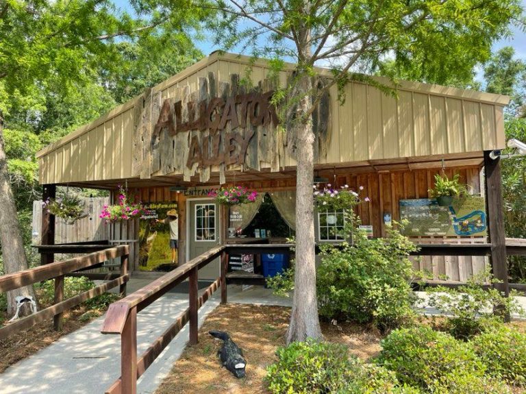 Alligator Alley is an Alabama small town wonder with some bite ...