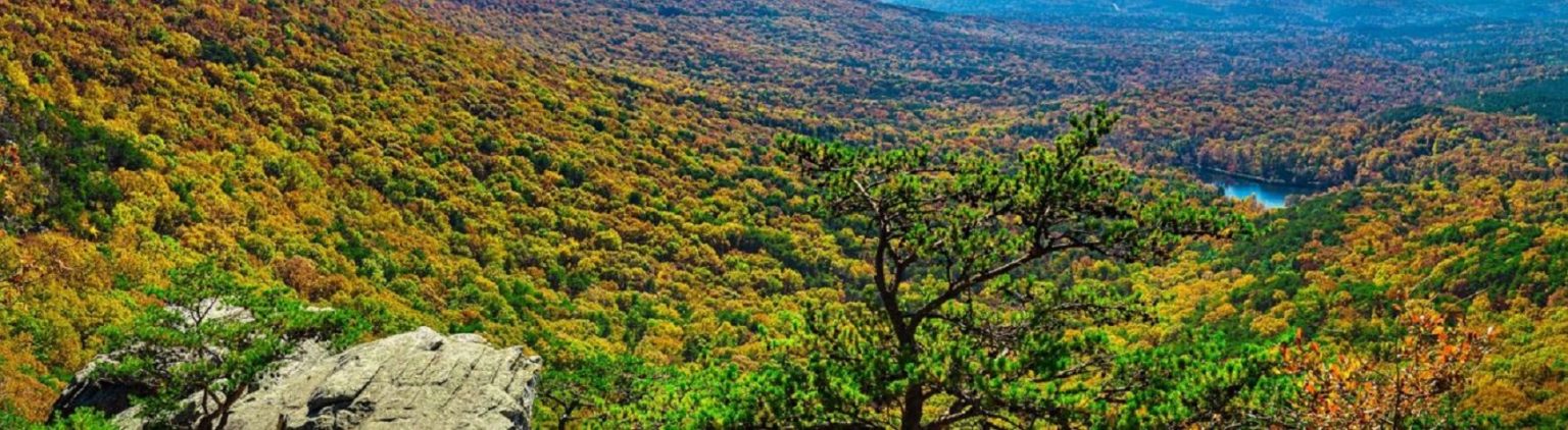 Visit Cheaha Mountain, the highest point in Alabama - Alabama News Center