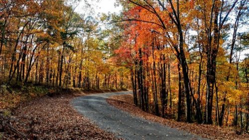 Alabama's 5 best scenic fall drives - Alabama News Center