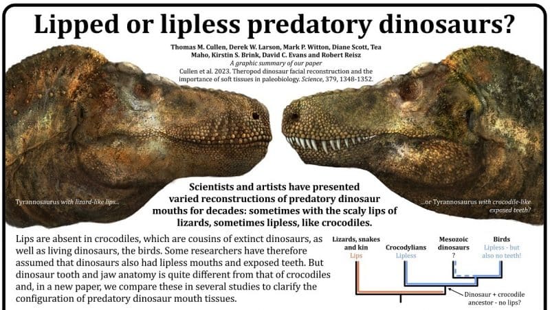 Auburn University professor's research indicates T. rex, Velociraptor ...