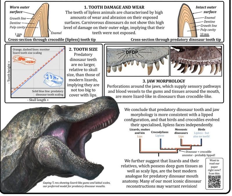 Auburn University professor's research indicates T. rex, Velociraptor ...