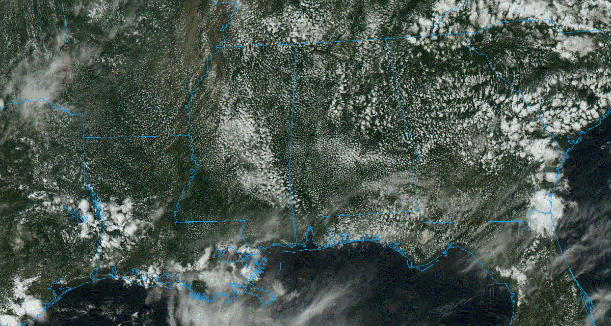 James Spann: Humidity levels creep up for Alabama in warmer days ahead ...