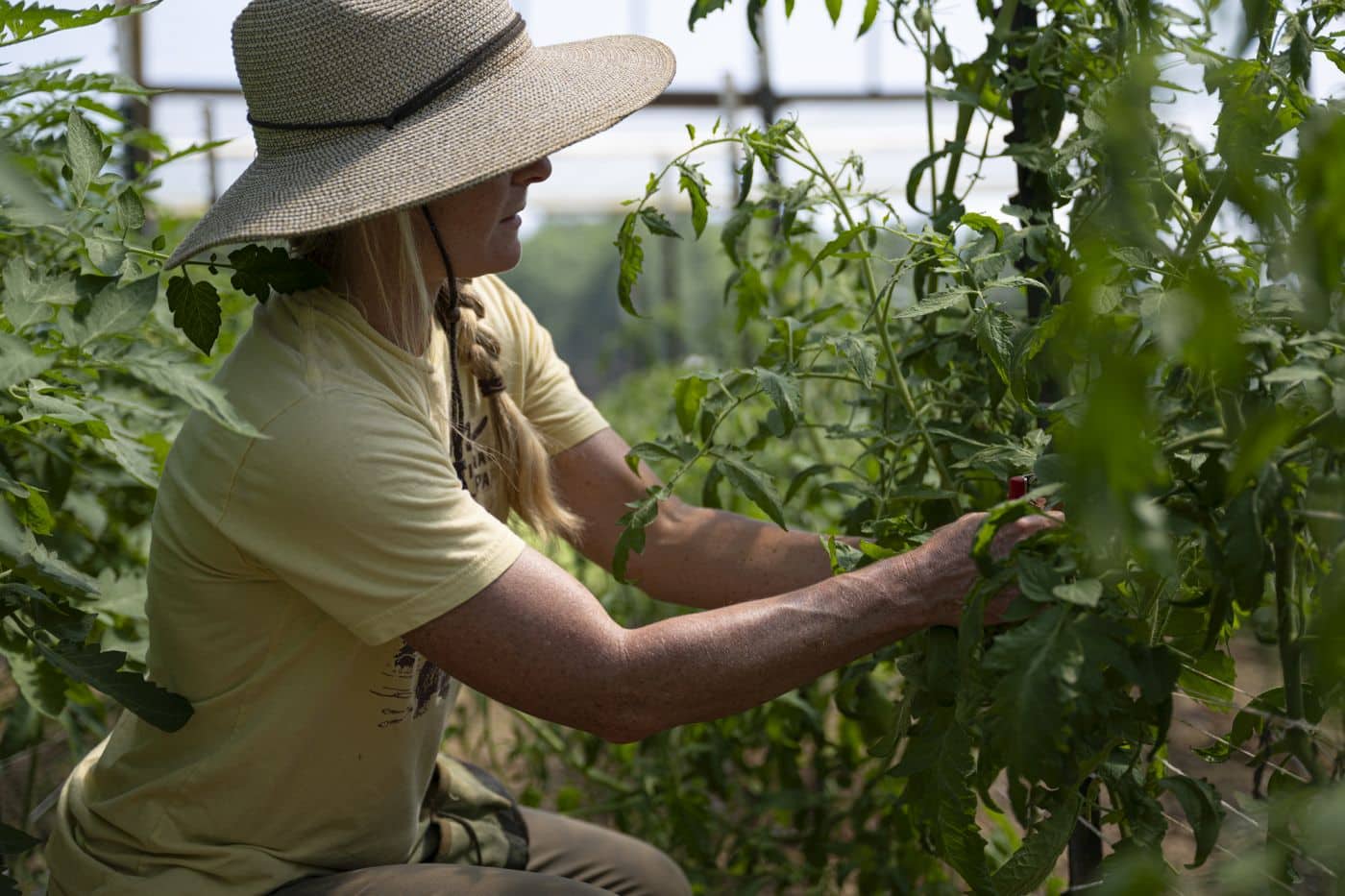 Lovelight Farm prospers providing for Alabama restaurants and the public