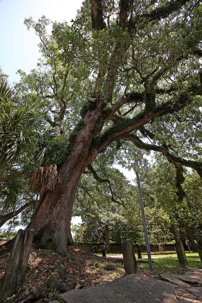 5 spooky places to visit in Alabama - Alabama News Center