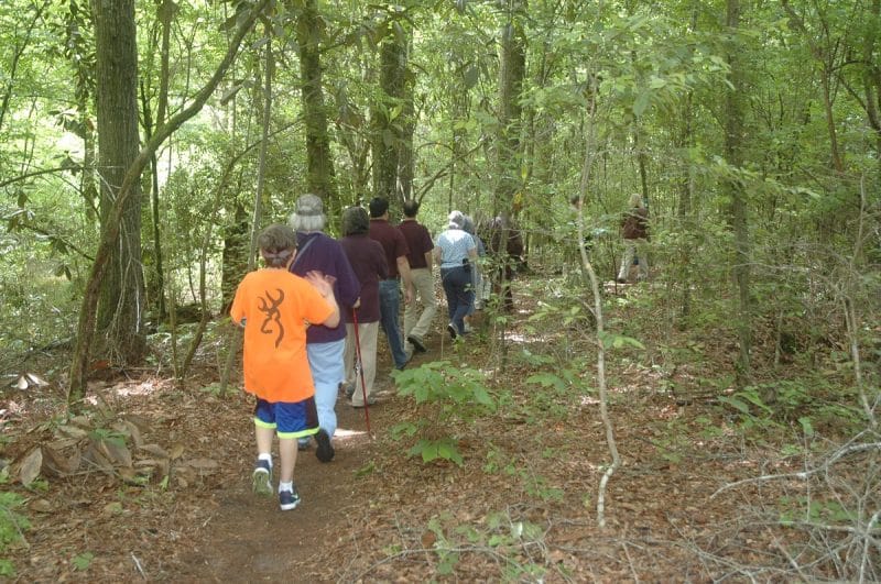 5 Forever Wild sites you’ll love in Alabama - Alabama News Center