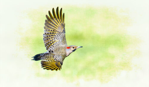 20 fun facts about Alabama - Alabama News Center