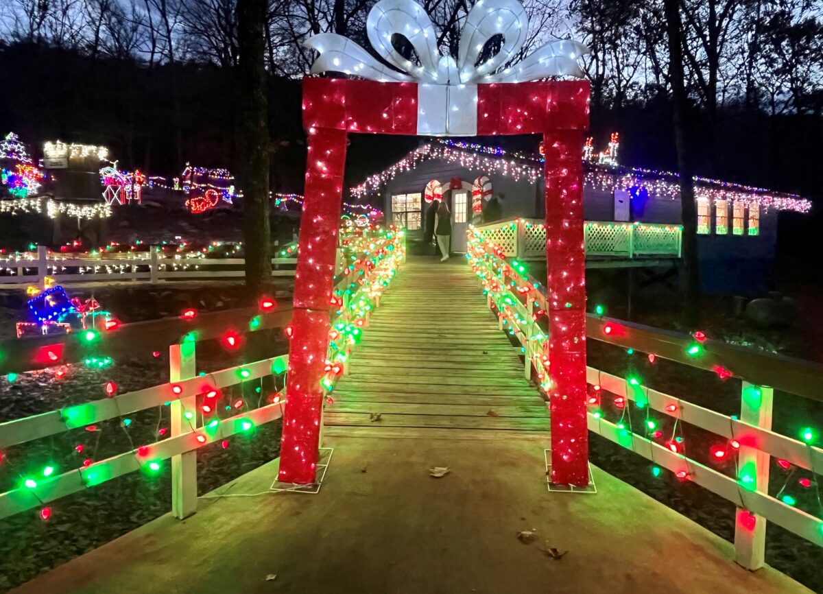 Celebrate holiday season by visiting ‘Wonderland Under Warrior’ at ...