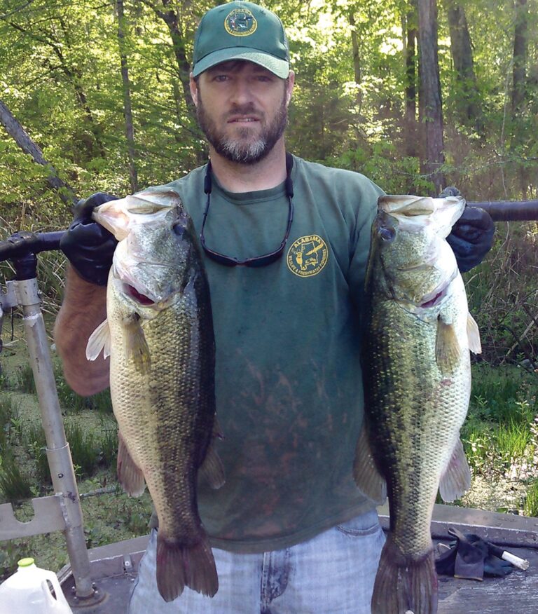 Alabama River and its lakes are the flowing heart of the Cotton State ...