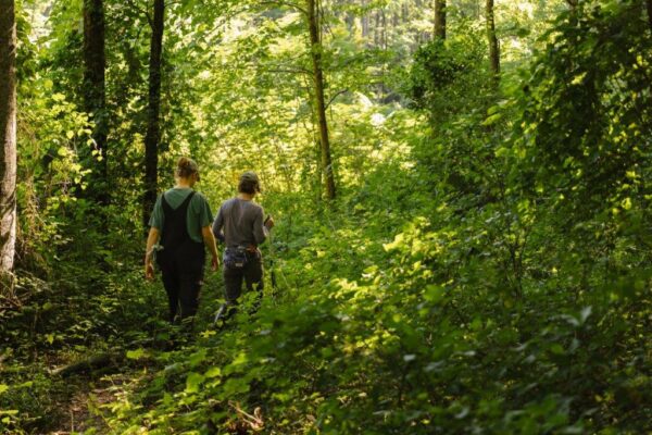 Access for all: Jefferson County Greenways Commission preserves and ...
