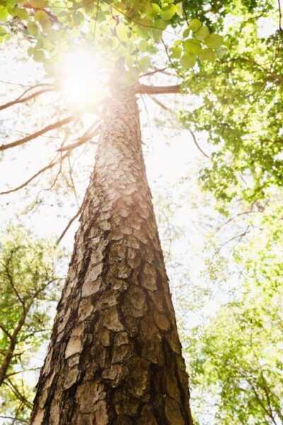 Access for all: Jefferson County Greenways Commission preserves and ...