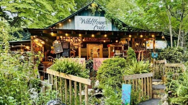 Wildflower Café: How a creative eatery in smalltown Mentone became a ...