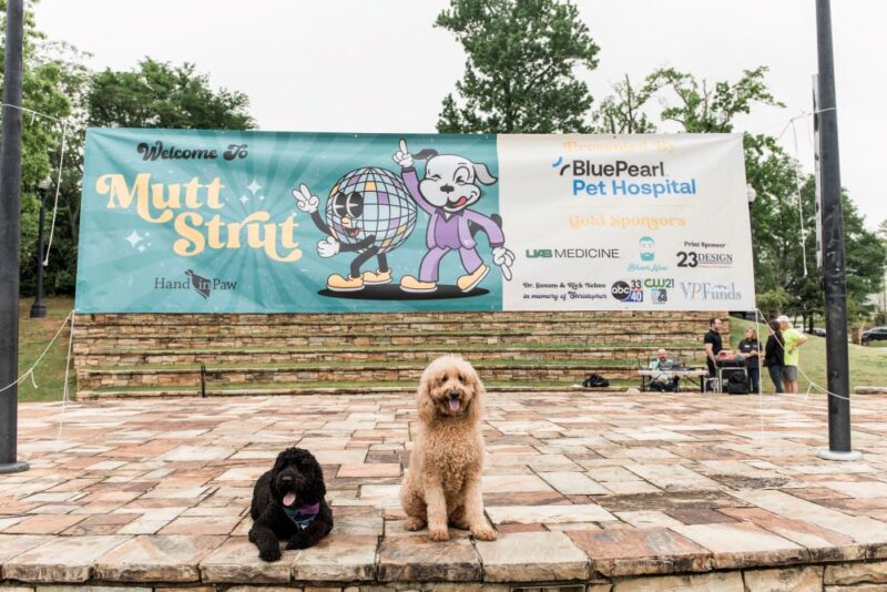 Can’t Miss Alabama: Mudbugs & Margaritas, Spring Swing, Mutt Strut ...