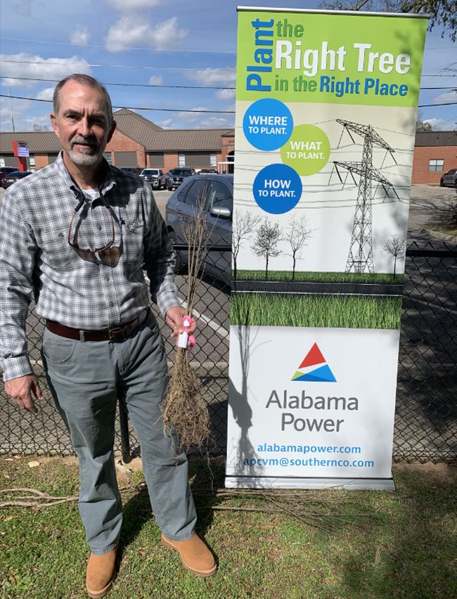 Trees are welcome - Alabama News Center