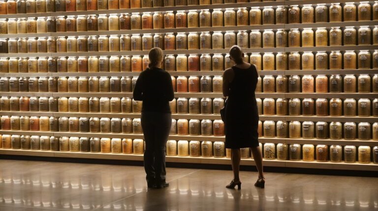 The Legacy Sites in Montgomery, Alabama, offer a look into stories that ...