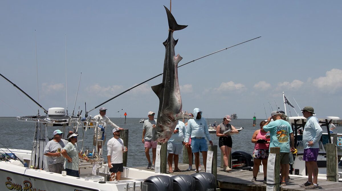 Abundant anglers, crowds and fish expected at 92nd Alabama Deep Sea ...