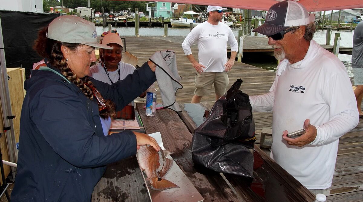 Deep Sea Fishing Rodeo brings great news about one of Alabama's ...