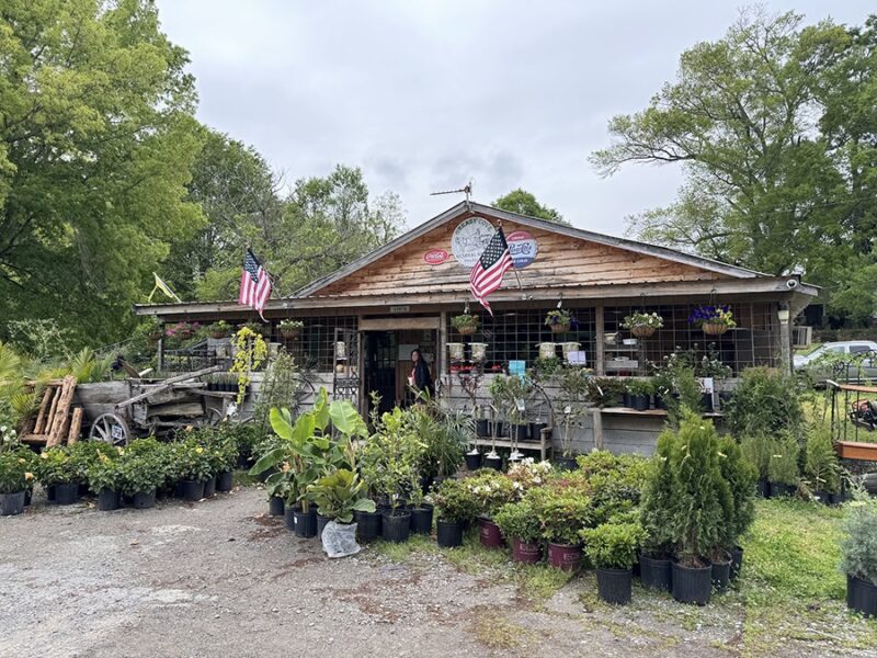 No rush: Diners at Alabama's Greasy Spoon take time to savor food ...