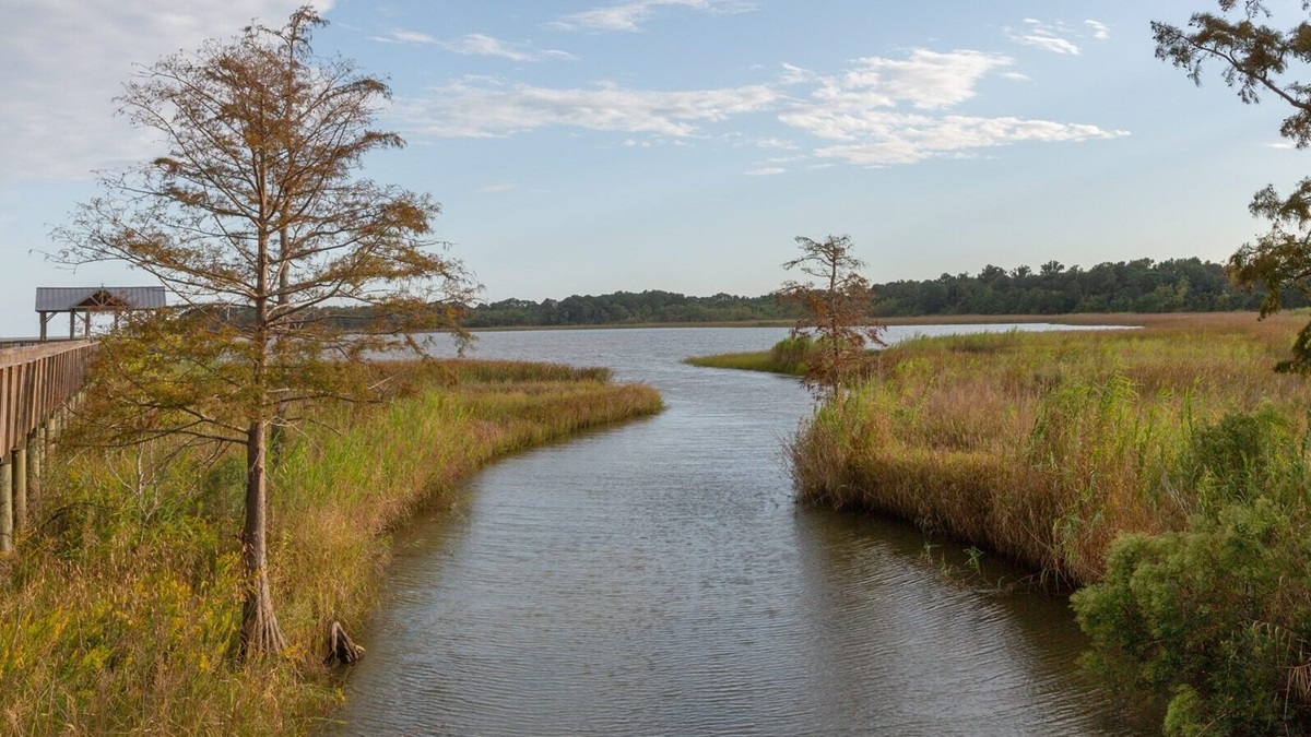 Coastal conservation effort is saving much more than Alabama’s beaches ...