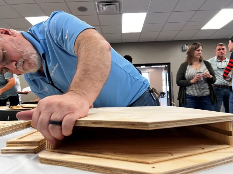 Bat habitat: Alabama Power builds bat boxes to give flying mammals safe ...